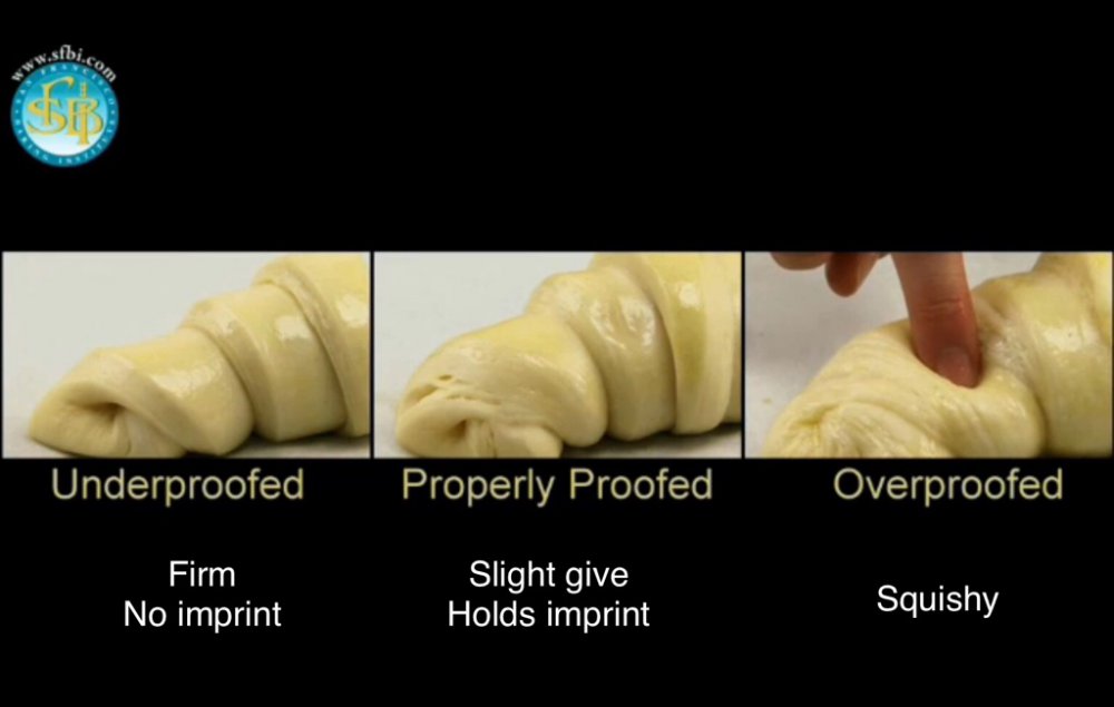 How to Use the Finger Dimple Test for Proofing Bread | Baking Forums